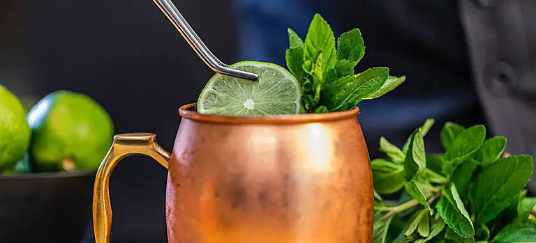 Drinks com Vodka - 5 Receitas Clássicas e Fáceis!