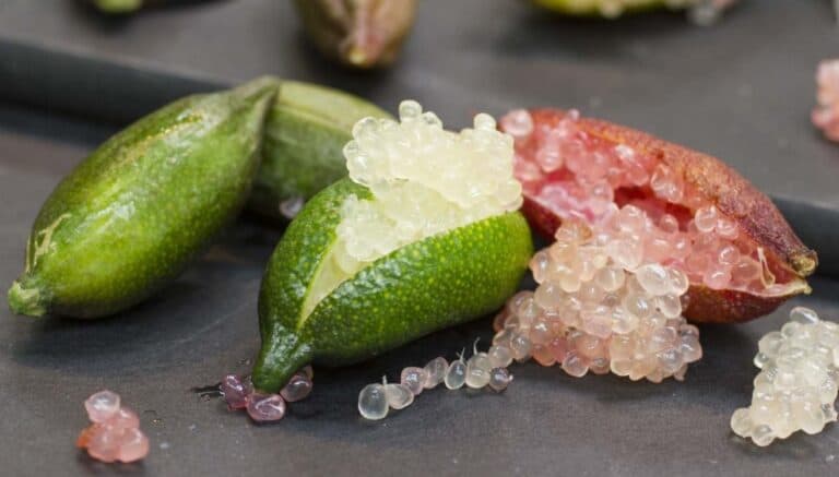 Tudo Sobre o Limão Caviar: Uso, Cultivo e Benefícios