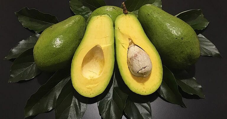 Quantos Tipos de Abacate Existem?