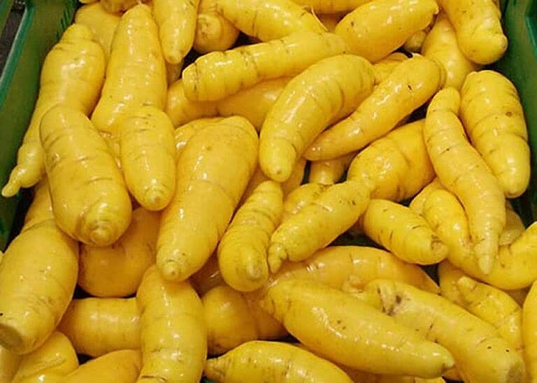6 Tipos de Batatas e Suas Características