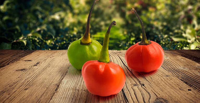 16 Tipos de Pimenta e Seu Grau de Ardência