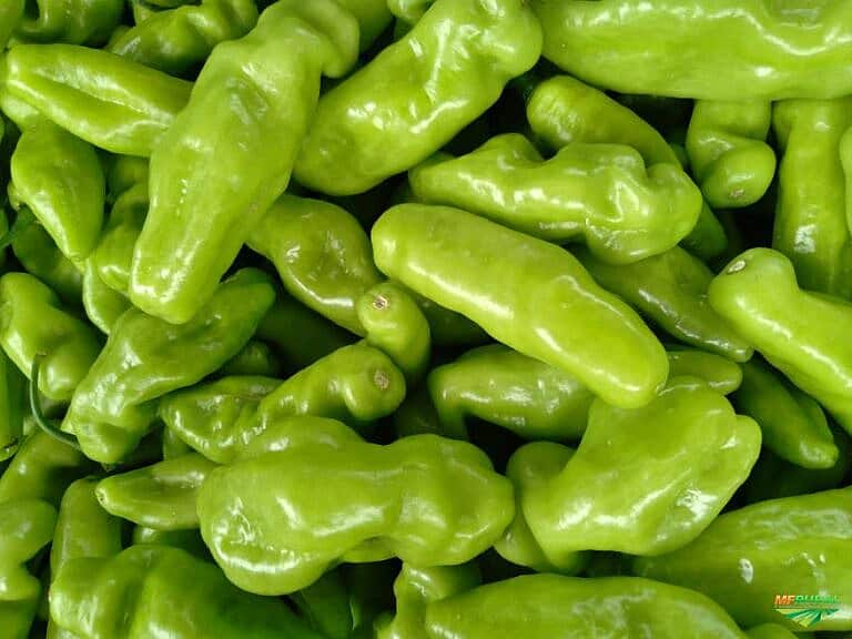 16 Tipos de Pimenta e Seu Grau de Ardência