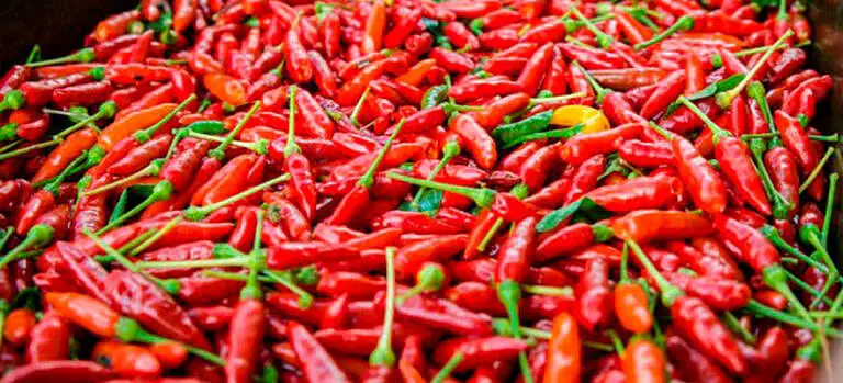 16 Tipos de Pimenta e Seu Grau de Ardência